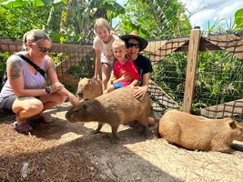 Gatorland's New Florida Panther Kittens, Croc-Rock Adventure & Capybara ...